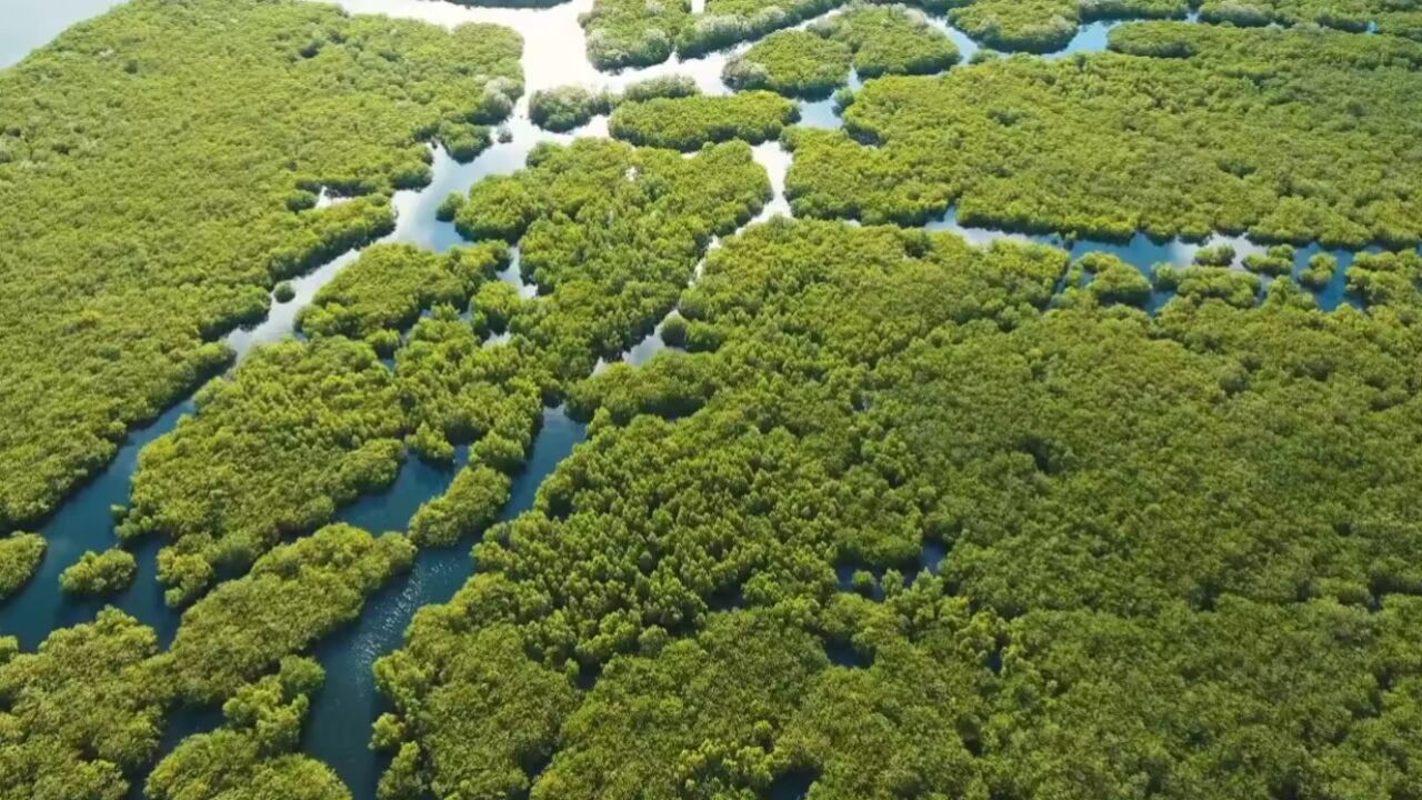 安溥anpu-最好的时光伴奏_高清1080P在线观看平台_腾讯视频