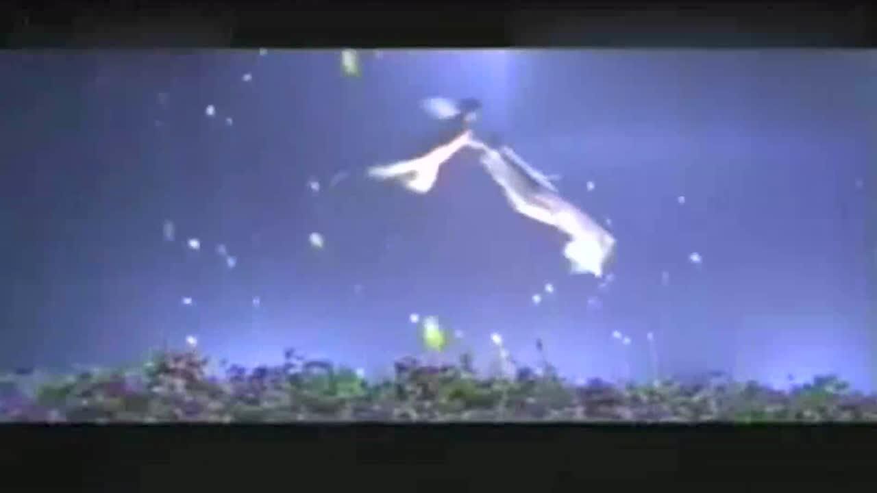 06-1080p