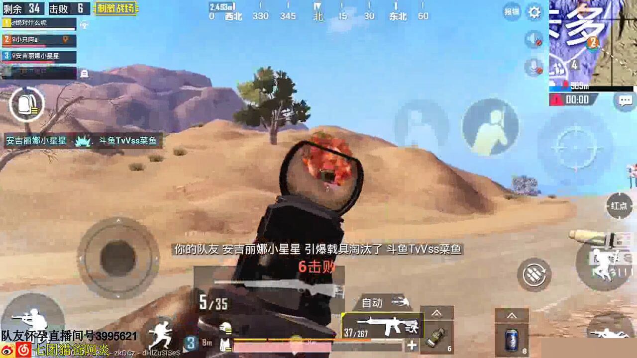 刺激战场：画质主播-深夜伴侣Zzzzzzz，极限你经历过绝望吗？_高清1080P在线观看平台_腾讯视频