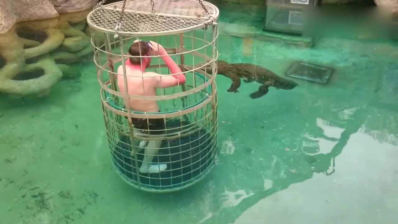 外国一男子，水下挑衅鳄鱼，网友：看着直冒冷汗_高清1080P在线观看平台_腾讯视频