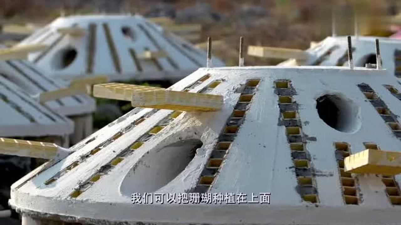 “珊瑚礁”还能人造？小伙子用水泥和塑料直接做成了人工珊瑚礁_腾讯视频