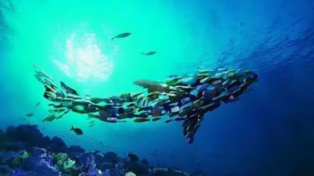 全球最美深潜！近四千米的海底有什么？不看不知道一看吓一跳_高清1080P在线观看平台_腾讯视频