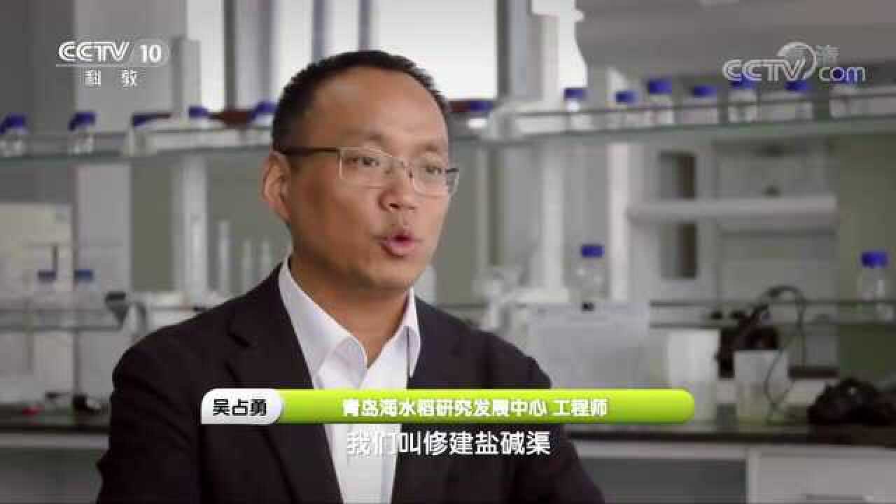 CCTV10科教频道《创新一线_改造盐碱地》_高清1080P在线观看平台_腾讯视频