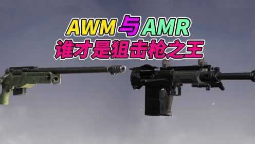 大头解说【和平精英】_和平精英：AWM与AMR，谁才是狙击枪之王？_高清1080P在线观看平台_腾讯视频