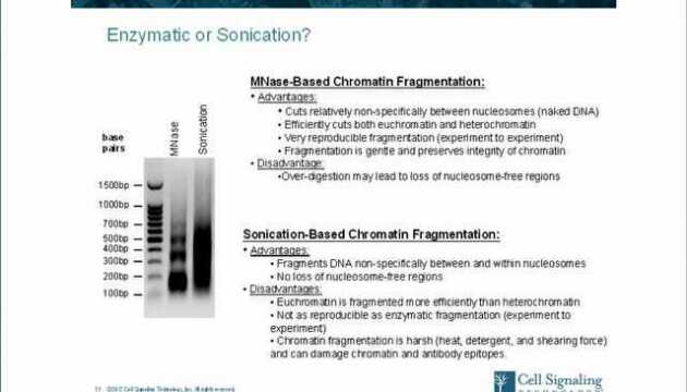 ChIP&ChIP-seq实验技巧及NGS测序分析解读_腾讯视频