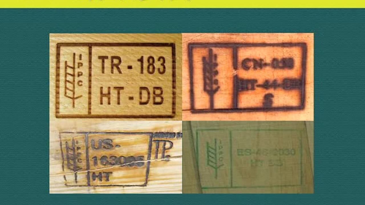 3分钟带你认识木质包装IPPC标识_高清1080P在线观看平台_腾讯视频