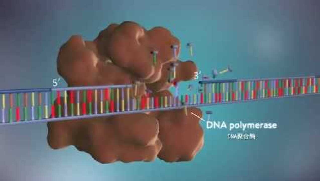 DNA复制的过程_腾讯视频
