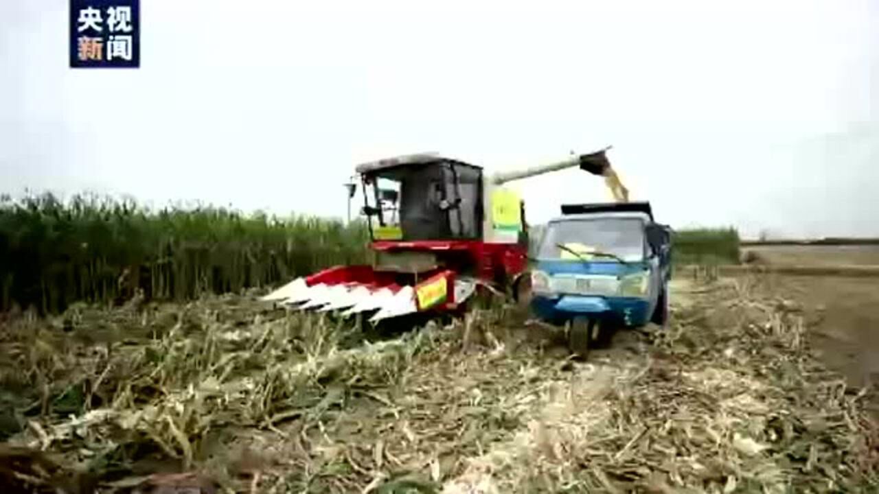 自然资源部：我国首次公开补充耕地地块信息_高清1080P在线观看平台_腾讯视频