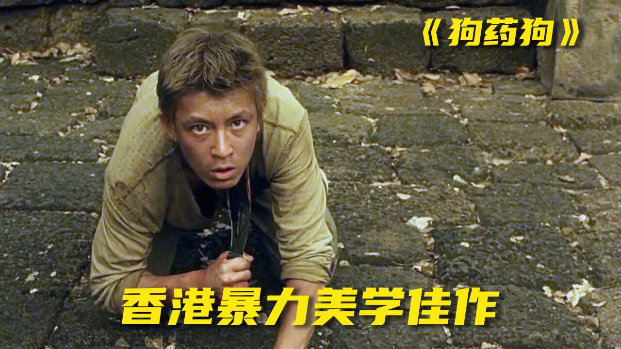 狗咬狗(2006年郑保瑞拍摄电影)_搜狗百科