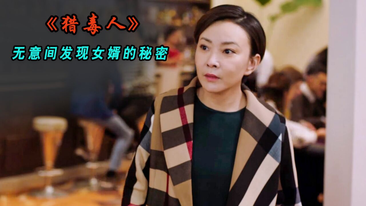 岳母发现女婿不为人知的秘密,只能装疯卖傻逃避现实腾讯视频
