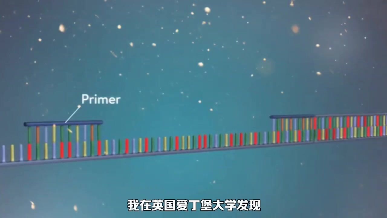 基于RNA：DNA杂交体结构引发的重复序列额外复制及重组的分子病理机制【潘学峰博主】_高清1080P在线观看平台_腾讯视频