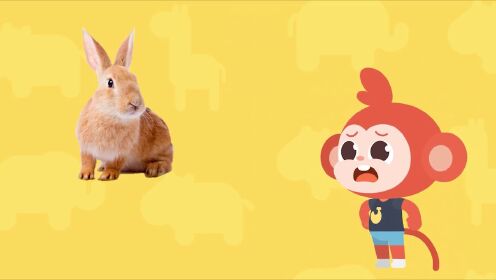 第06集：RAZ-Pets_第06集：RAZ-Pets_少儿_动画片大全_腾讯视频