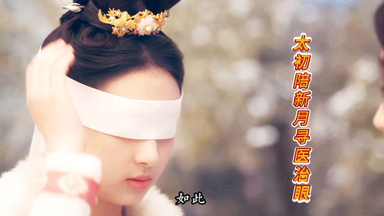 太初陪新月寻医治眼#山有木兮木有心#陈家赫#周漾玥_高清1080P在线观看平台_腾讯视频