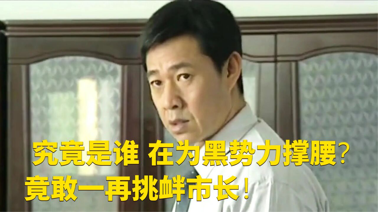 24究竟是谁在为黑势力撑腰？竟敢一再挑衅市长！_高清1080P在线观看平台_腾讯视频