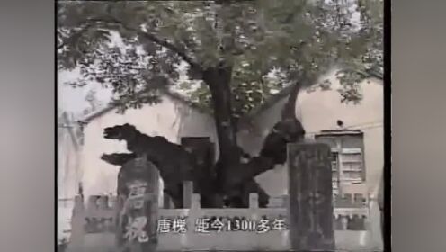 美丽中国|中华名山系列纪录片《天下第一山》_高清1080P在线观看平台_腾讯视频