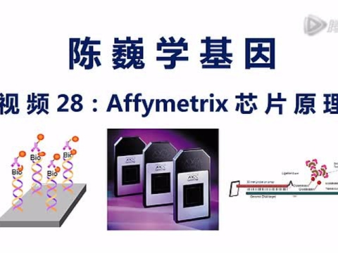 【陈巍学基因】视频28：Affymetrix芯片原理_腾讯视频