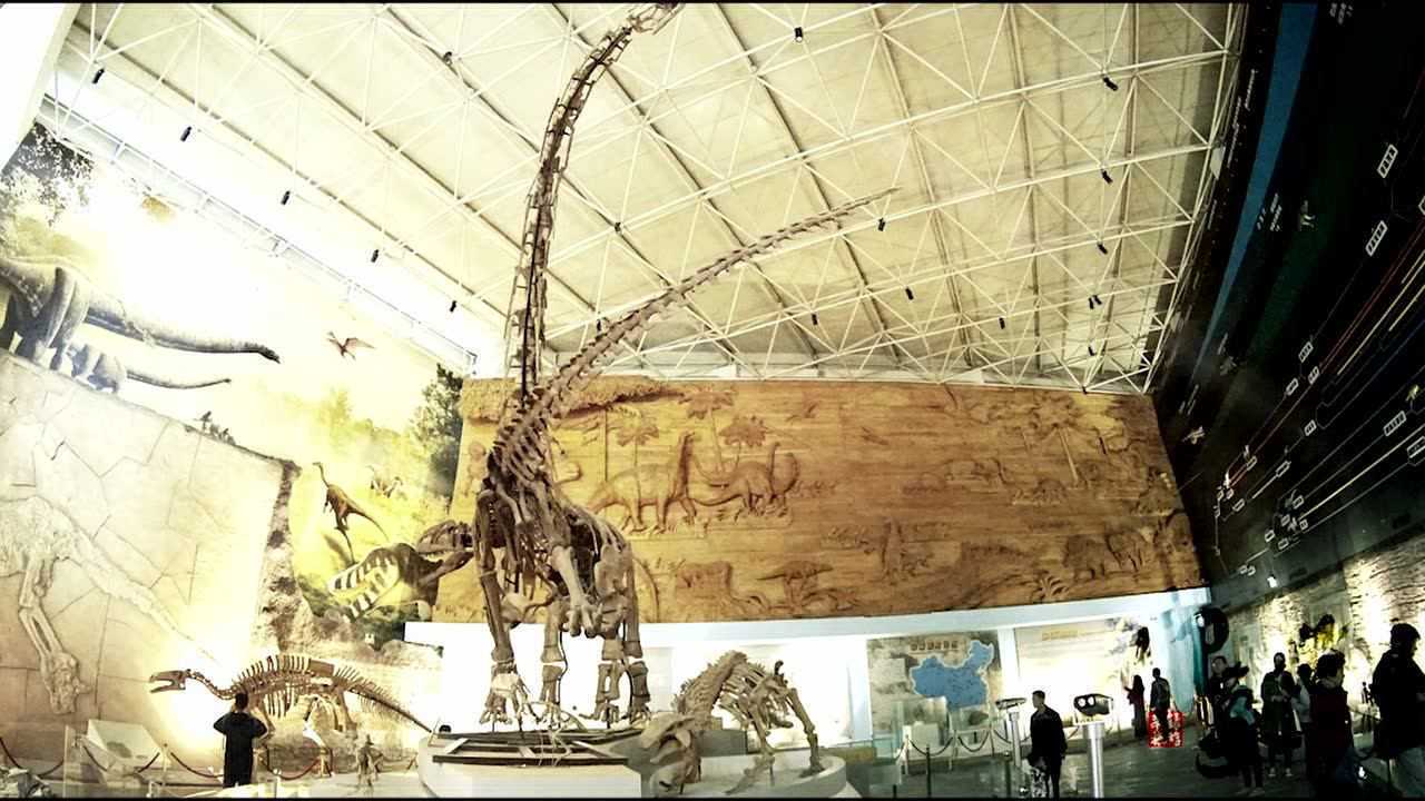 辽宁朝阳鸟化石国家地质公园宣传片高清1080p在线观看平台腾讯视频 1194