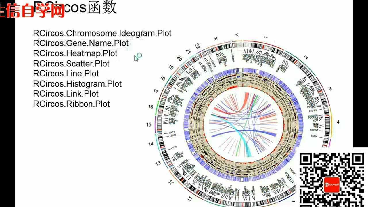 RCircos圈图绘制生信课程_高清1080P在线观看平台_腾讯视频