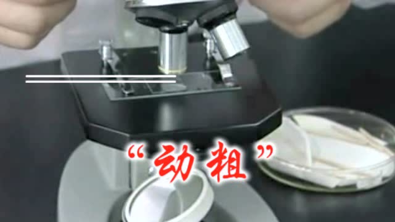 高中生物微课-1.2 显微镜的结构与操作_腾讯视频
