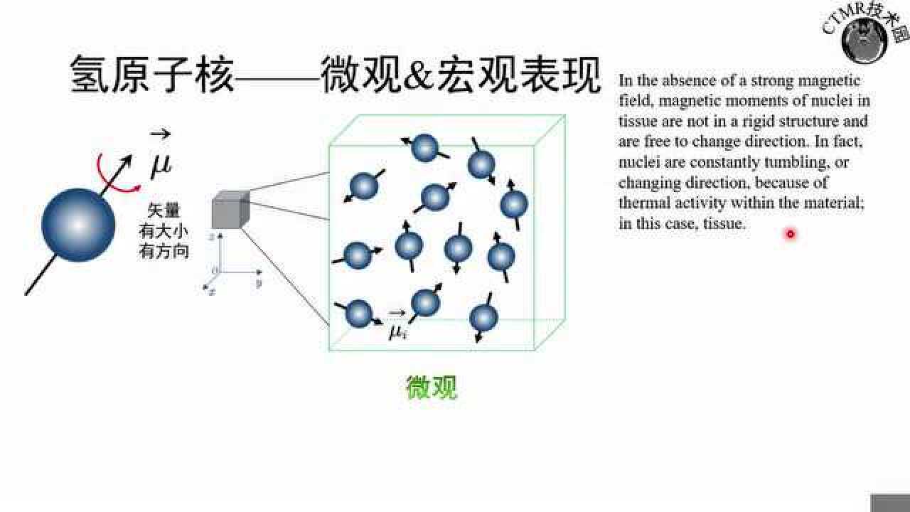 CTMR技术园蒋强盛《磁共振原理》第三期——无主磁场氢原子核状态_高清1080P在线观看平台_腾讯视频