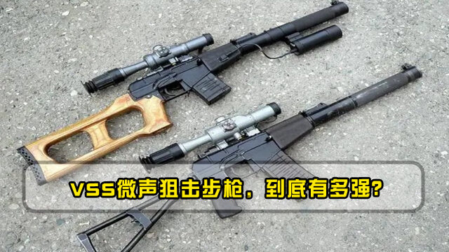 杀人于无形：VSS微声狙击步枪，到底有多强？至今仍是俄军主力装备_腾讯视频