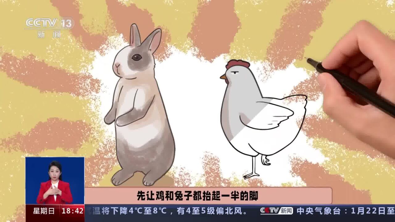 古人怎么解“鸡兔同笼”问题？_高清1080P在线观看平台_腾讯视频