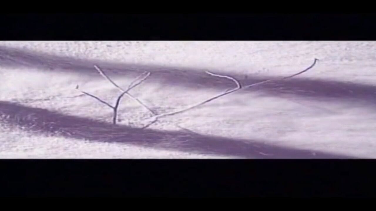 飘雪-陈慧娴_高清1080P在线观看平台_腾讯视频