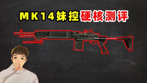 MK14妹控：除了Groza，其他突击步枪都是弟弟！_高清1080P在线观看平台_腾讯视频