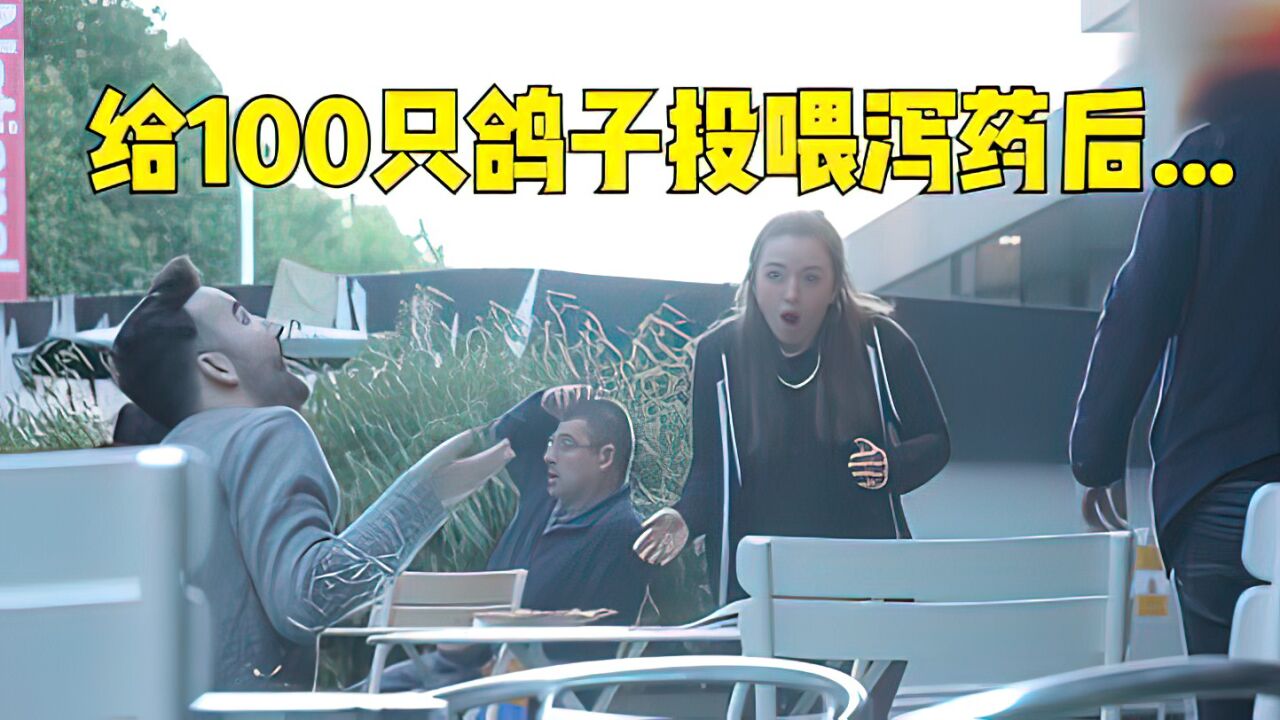 国外小哥给100只鸽子投喂泻药，结果场面彻底失控腾讯视频