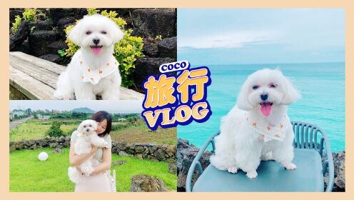 【萌宠日记】和coco的旅行vlog！_少儿_动画片大全_腾讯视频