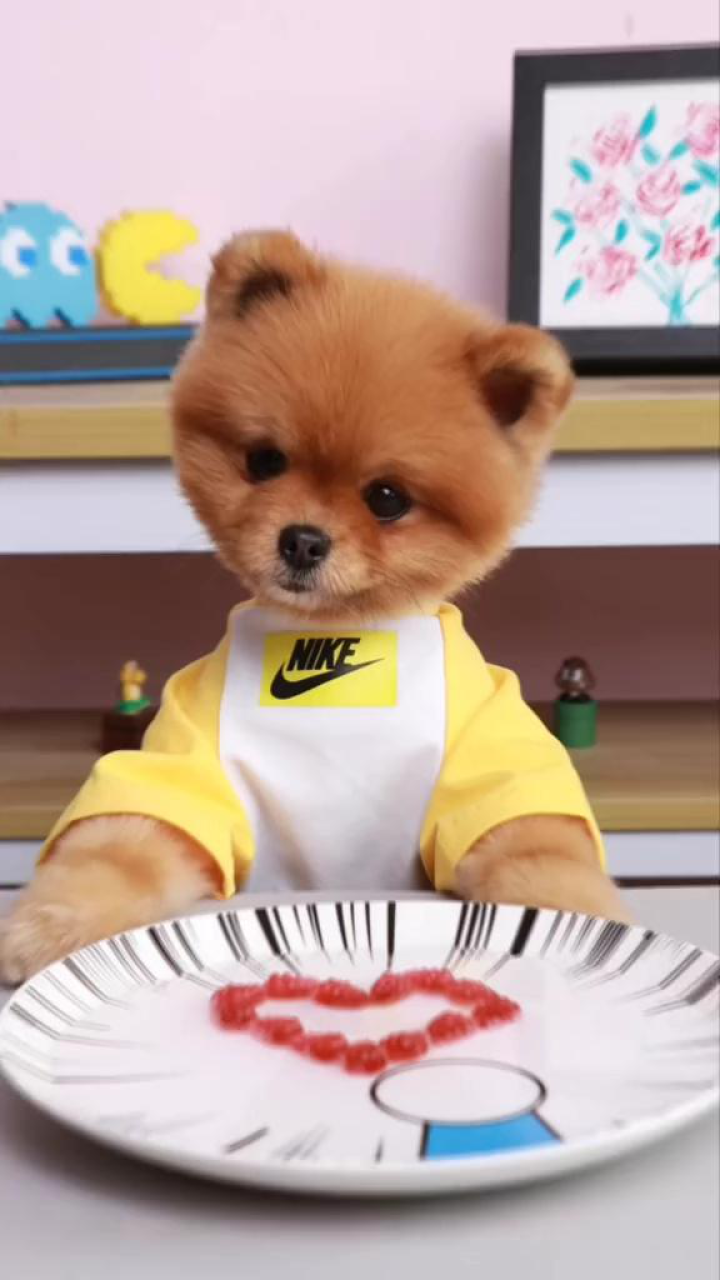 coco敢于尝试新事物，你也是吗？_腾讯视频