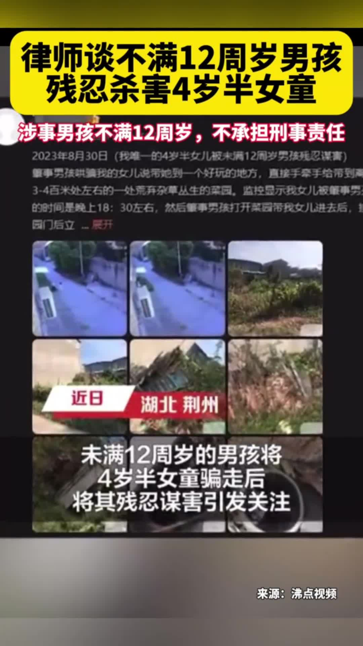 律师谈不满12周岁男孩杀害4岁半女童:涉事男孩不担刑责 腾讯视频