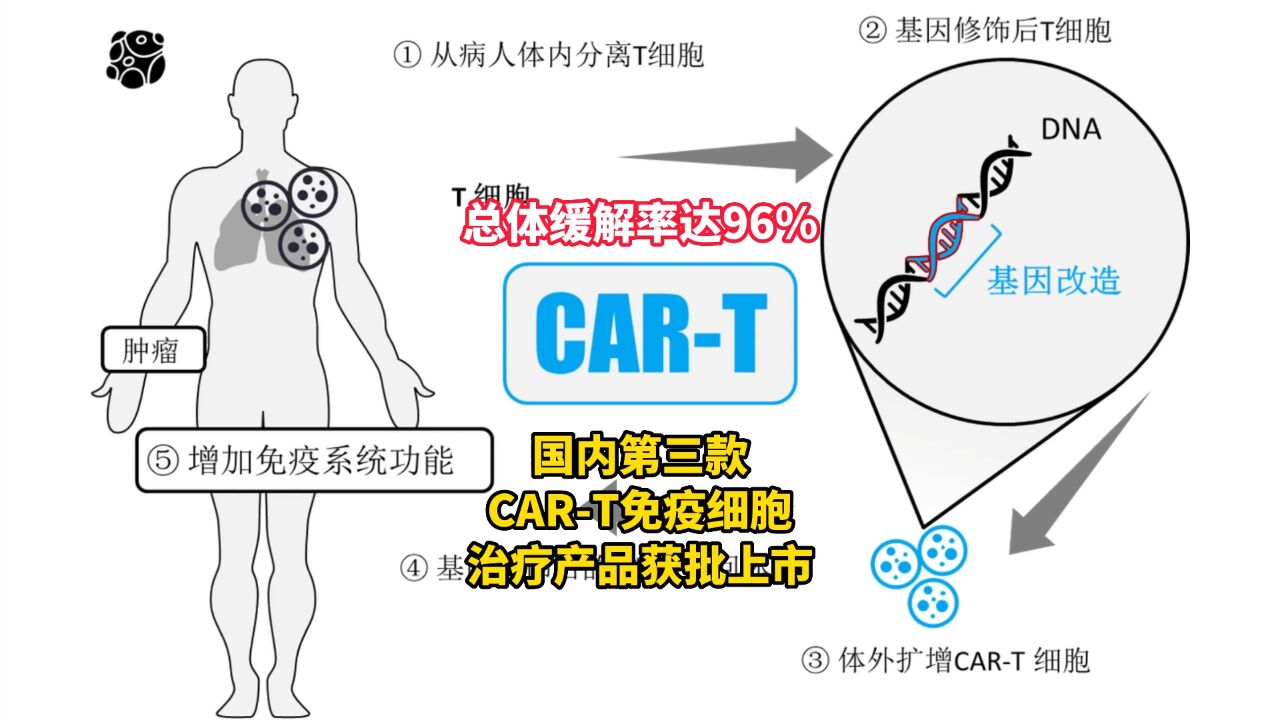 国内第三款CAR-T免疫细胞治疗产品获批上市，缓解率达96%_高清1080P在线观看平台_腾讯视频