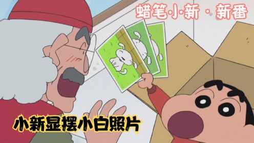 蜡笔小新：小新好可爱，拿着小白全身照显摆，都给老爷爷迷住了_高清1080P在线观看平台_腾讯视频