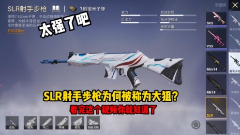 和平精英：SLR射手步枪为何被称为大狙？伤害仅次于MK14，太猛了吧_高清1080P在线观看平台_腾讯视频