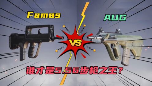 Famas与AUG，谁才是5.56步枪之王！_高清1080P在线观看平台_腾讯视频