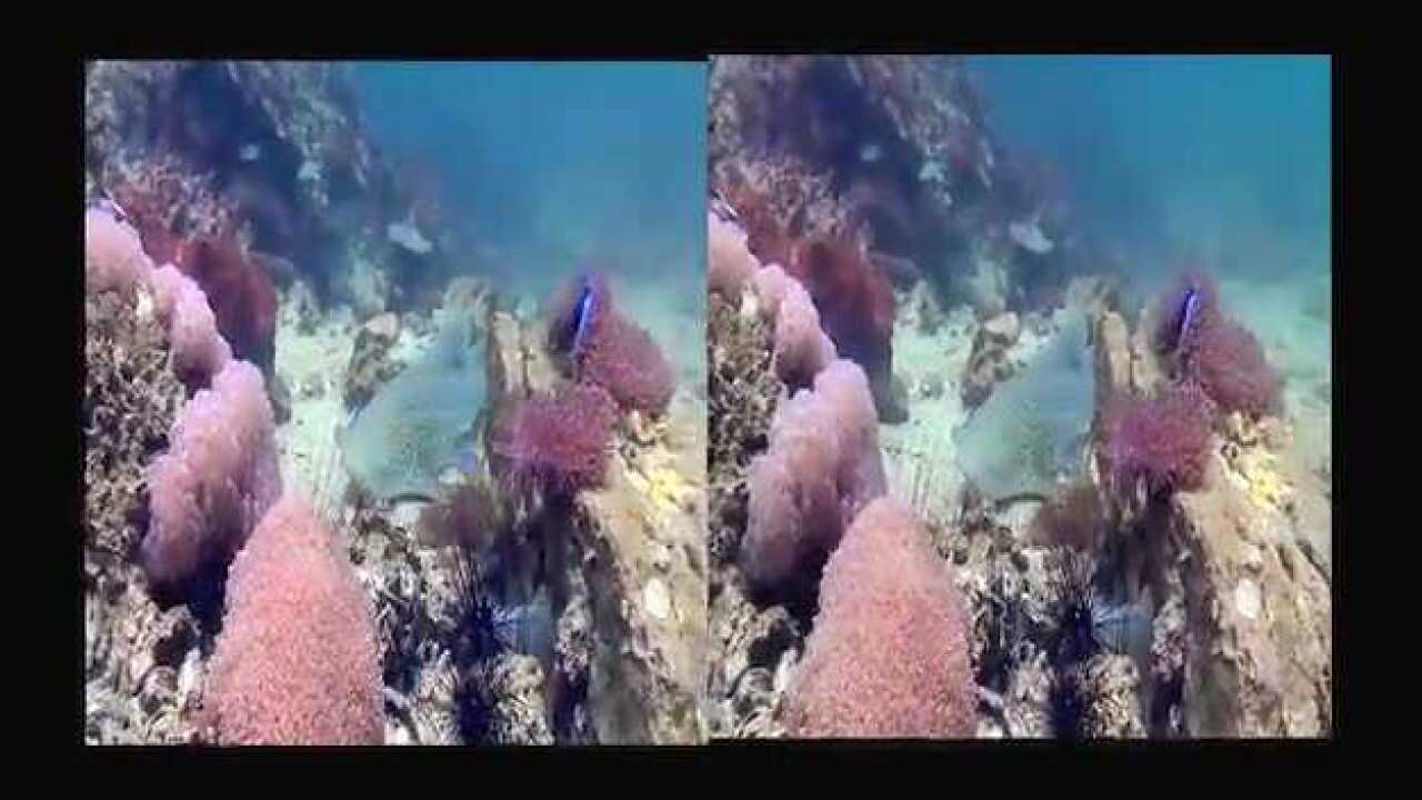 3dvr_3D_高清1080P在线观看平台_腾讯视频