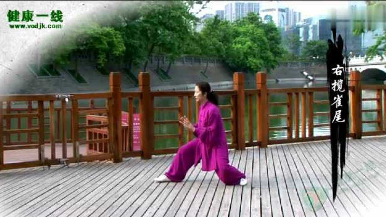 二十四式简化太极拳演练(口令字幕音乐)腾讯视频
