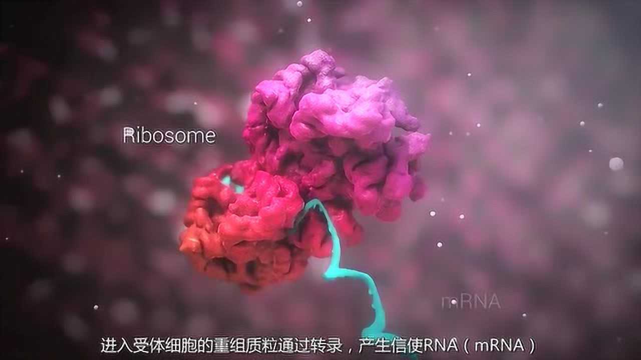 生物动画视频|3D演示基因工程_高清1080P在线观看平台_腾讯视频