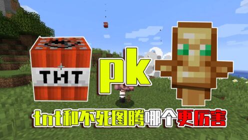 《我的世界Boss战》我的世界Mod：假如每1秒天上掉3颗TNT，拥有不死图腾的你能活吗？_高清1080P在线观看平台_腾讯视频