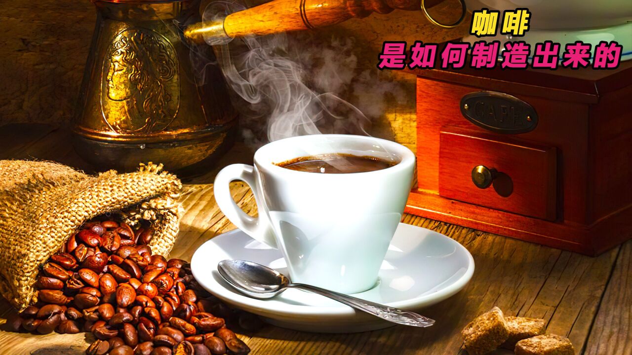 纪录片：咖啡是如何制造出来的_高清1080P在线观看平台_腾讯视频