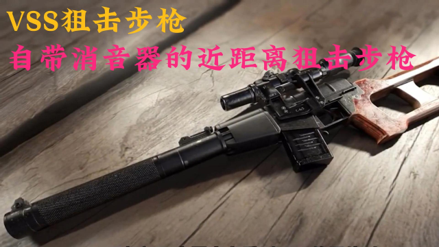VSS狙击步枪：一种微声，几乎无发射火焰的近距离狙击步枪_腾讯视频