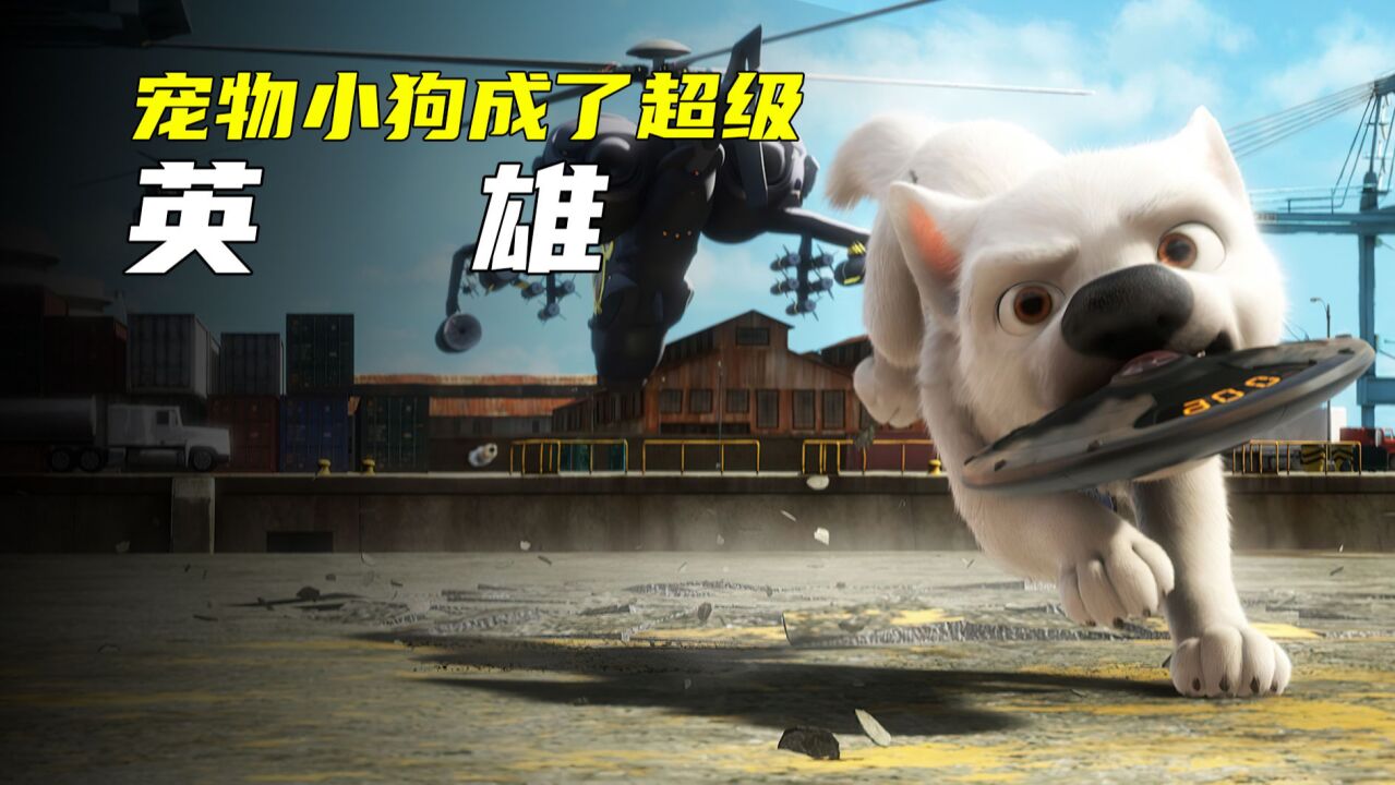 所有人给宠物狗当配角，只为塑造超级零零狗（下）_高清1080P在线观看平台_腾讯视频