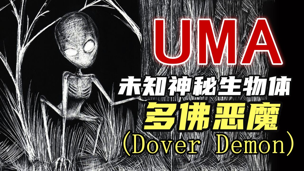 【UMA系列】第三期：多佛恶魔真实目击事件解析_高清1080P在线观看平台_腾讯视频