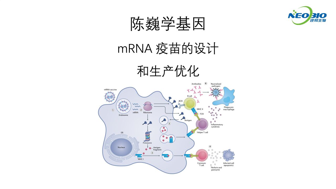 【陈巍学基因】mRNA疫苗的设计和生产优化_高清1080P在线观看平台_腾讯视频