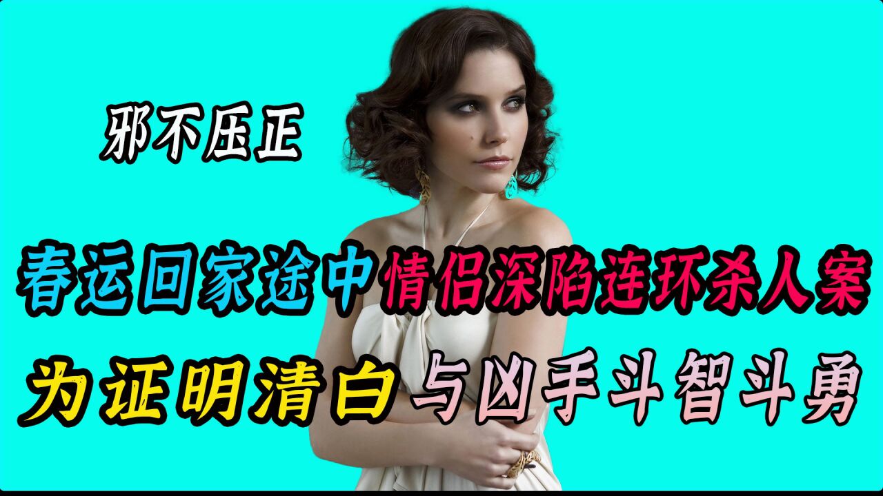 搭车人精彩速看_第2集春运回家途中,情侣深陷连环杀人案,为证明清白,与凶手斗智斗勇_高清1080P在线观看平台_腾讯视频