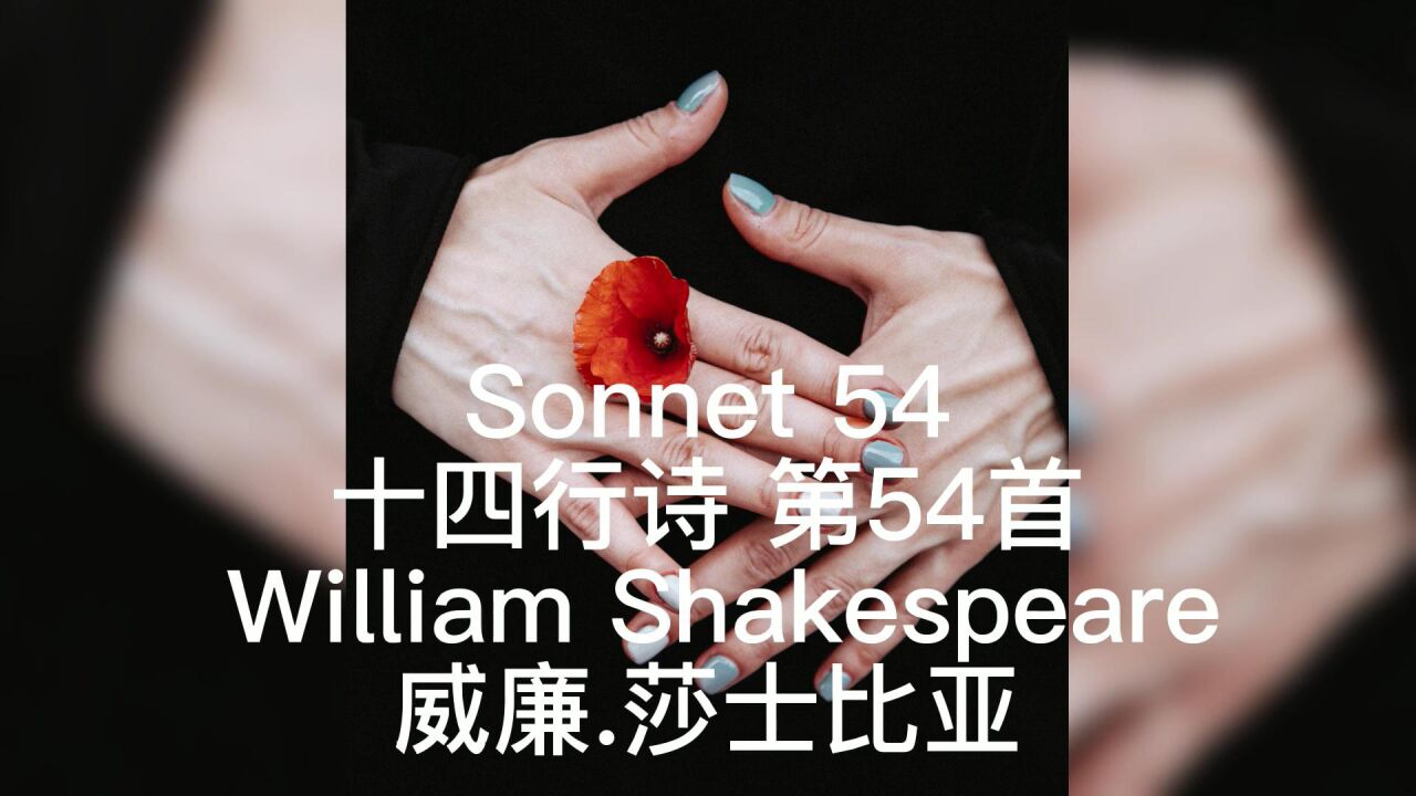 莎士比亚十四行诗第54首Sonnet54byWilliamShakespeare_高清1080P在线观看平台_腾讯视频