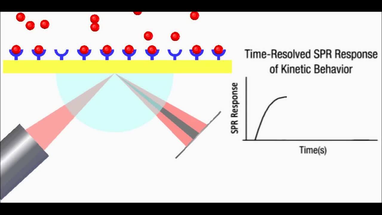 表面等离子体共振SPR分析仪的工作原理解释_腾讯视频