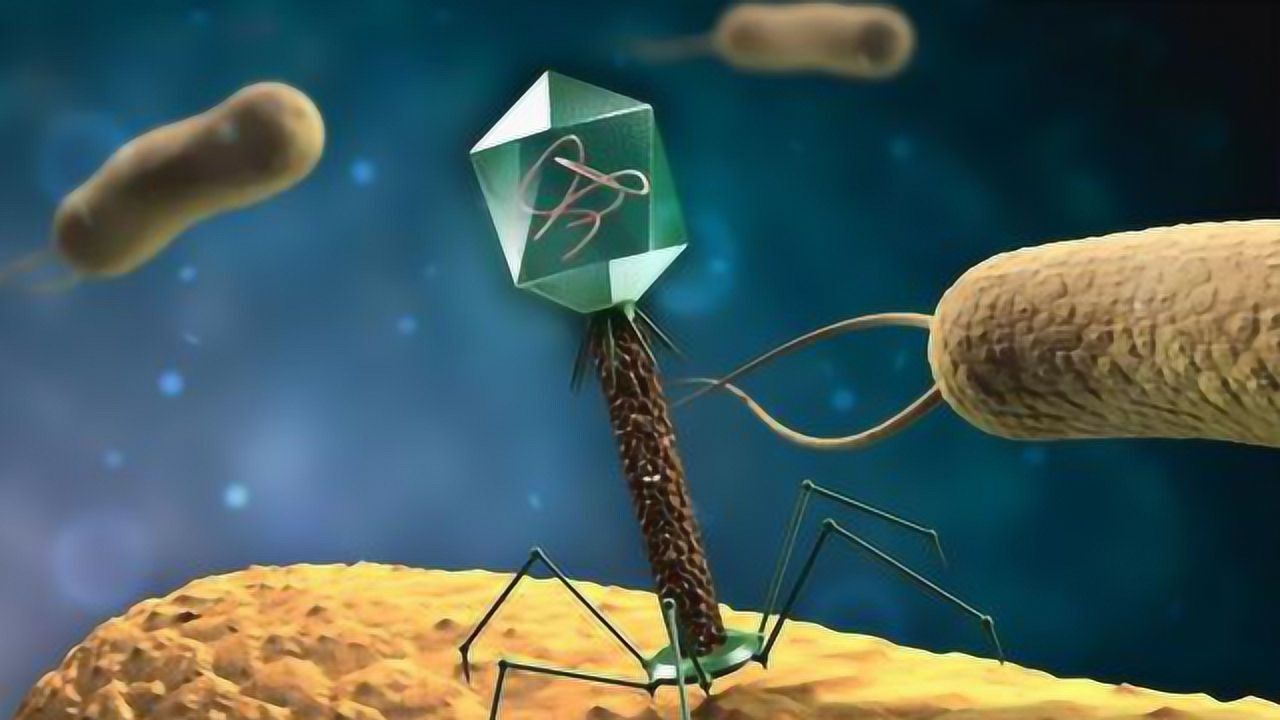 显微镜下的“噬菌体”，看起来不像自然物种，这不就是机器人吗？_高清1080P在线观看平台_腾讯视频