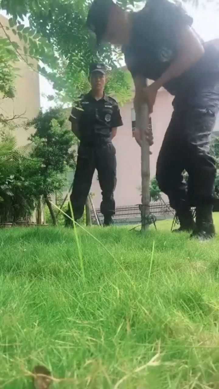 插都插进去了，咋还拔出来呢，这下糗大了高清1080p在线观看平台腾讯视频
